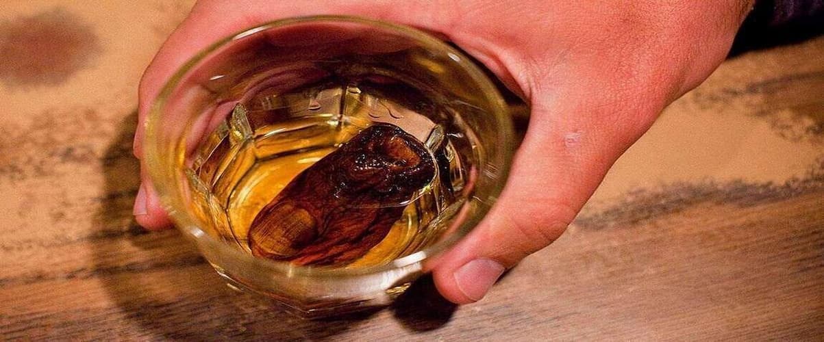 7 bebidas alcoólicas mais bizarras do mundo - Meu Valor Digital ...