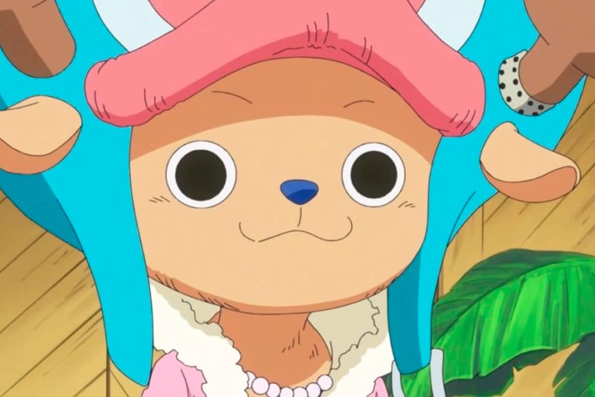 One Piece: recompensas atualizadas de cada Chapéu de Palha - Meu Valor ...