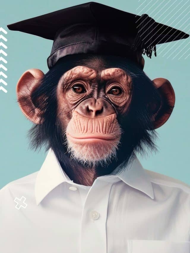 Quais são os animais mais inteligentes do mundo? - Meu Valor Digital ...