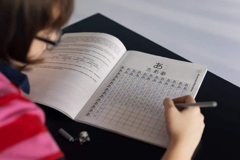 Conheça os 5 sistemas de escrita mais usados no mundo - Meu Valor ...